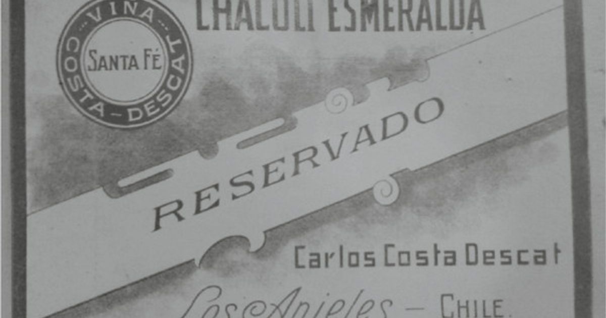 El vino Chacolí: Una tradición de nuestros campos en peligro de ...