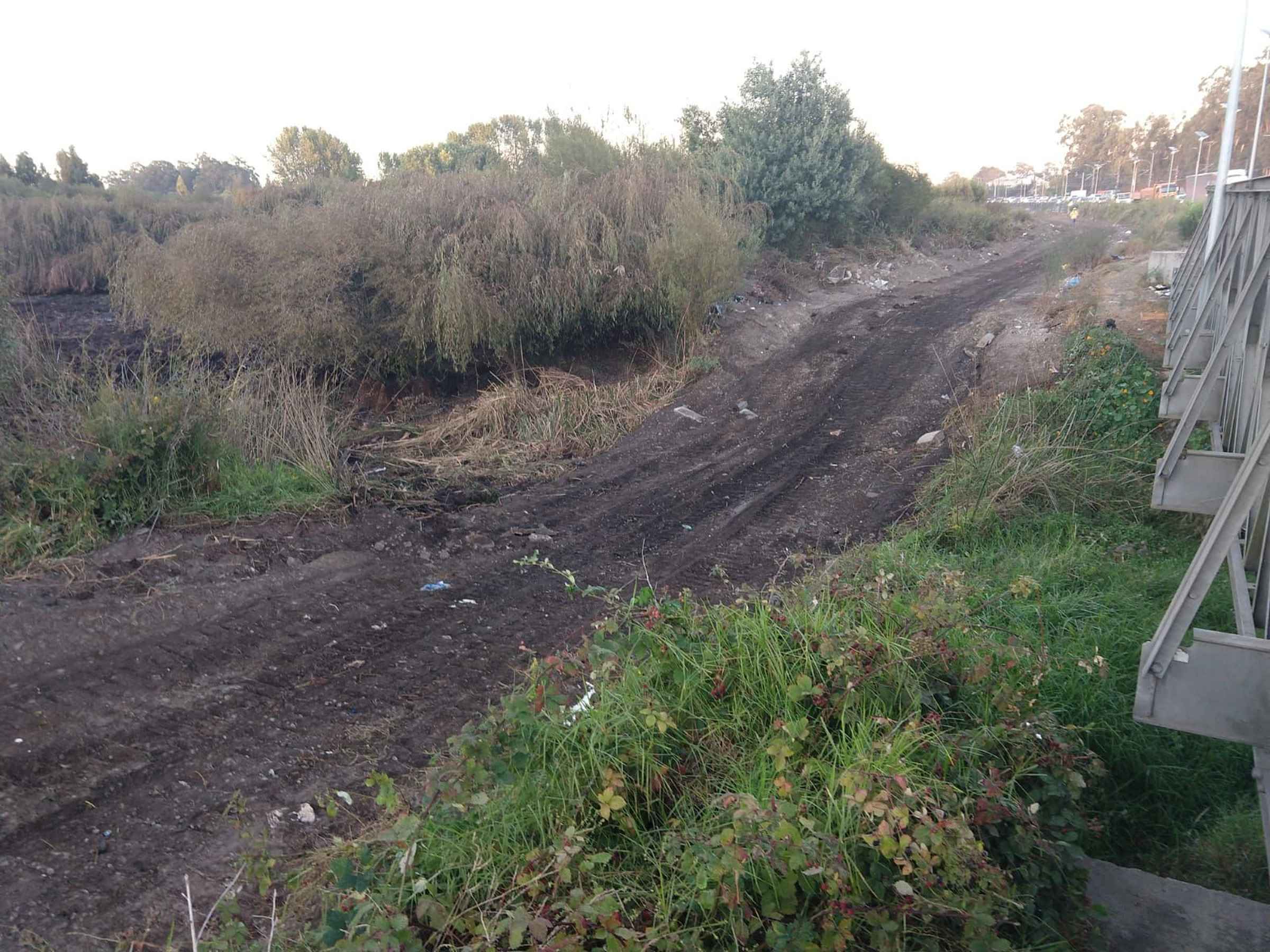 La relevancia de los humedales ante las lluvias e inundaciones en el ...
