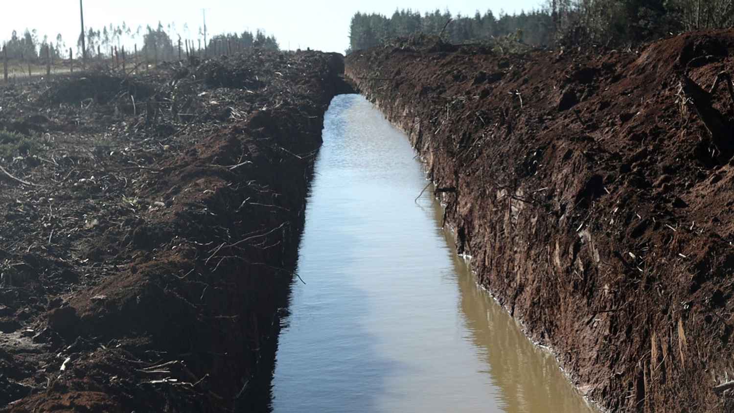 Forestal Arauco implementa nueva y peligrosa práctica: Enormes zanjas ...